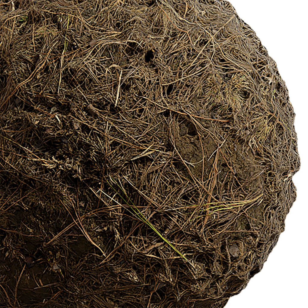 Grass Seamless Texture 2K (2048*2048) - EXR 5 - JPG 5 by model789