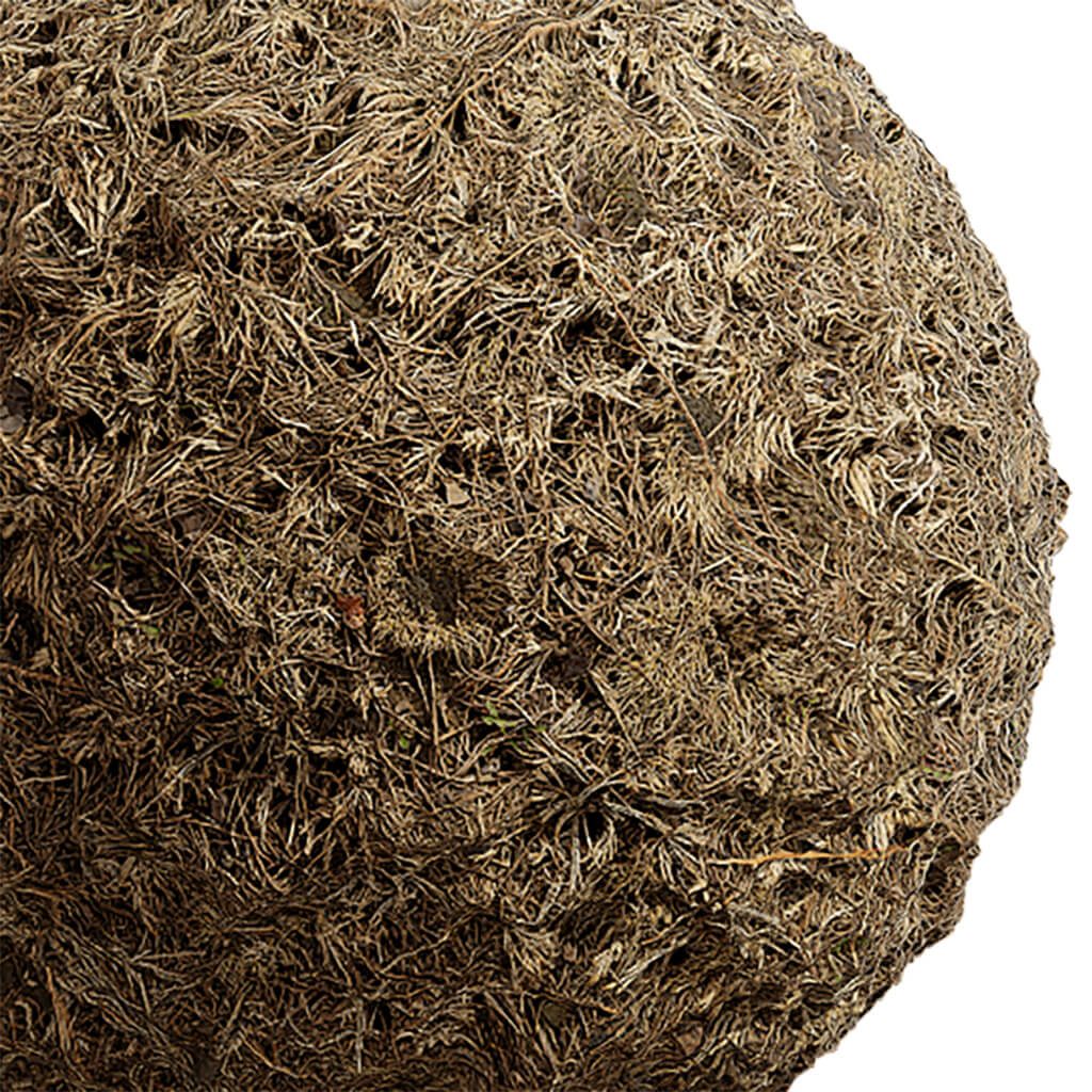 Grass Seamless Texture 2K (2048*2048) - EXR 5 - JPG 5 by model789
