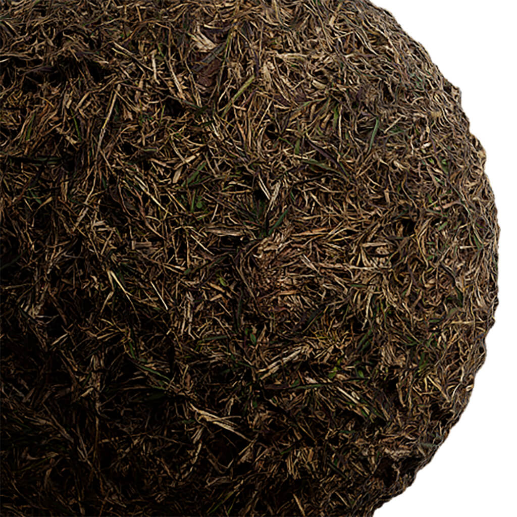 Grass Seamless Texture 2K (2048*2048) - EXR 5 - JPG 5 by model789