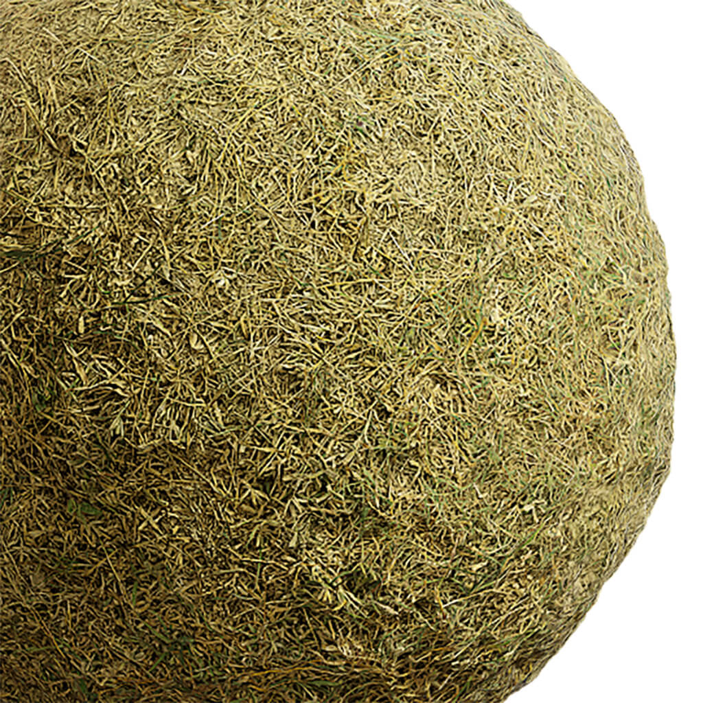 Grass Seamless Texture 2K (2048*2048) - EXR 5 - JPG 5 by model789