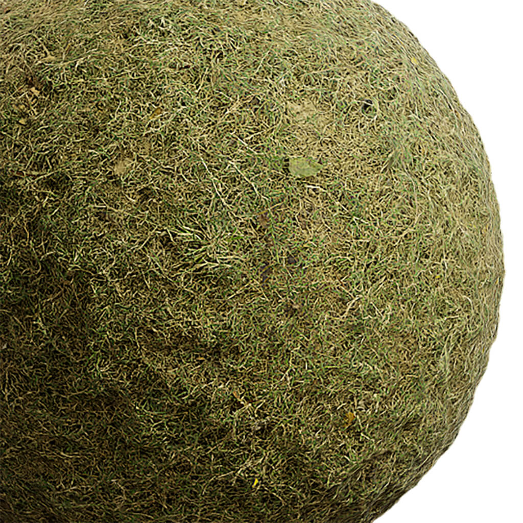 Grass Seamless Texture 2K (2048*2048) - EXR 5 - JPG 5 by model789