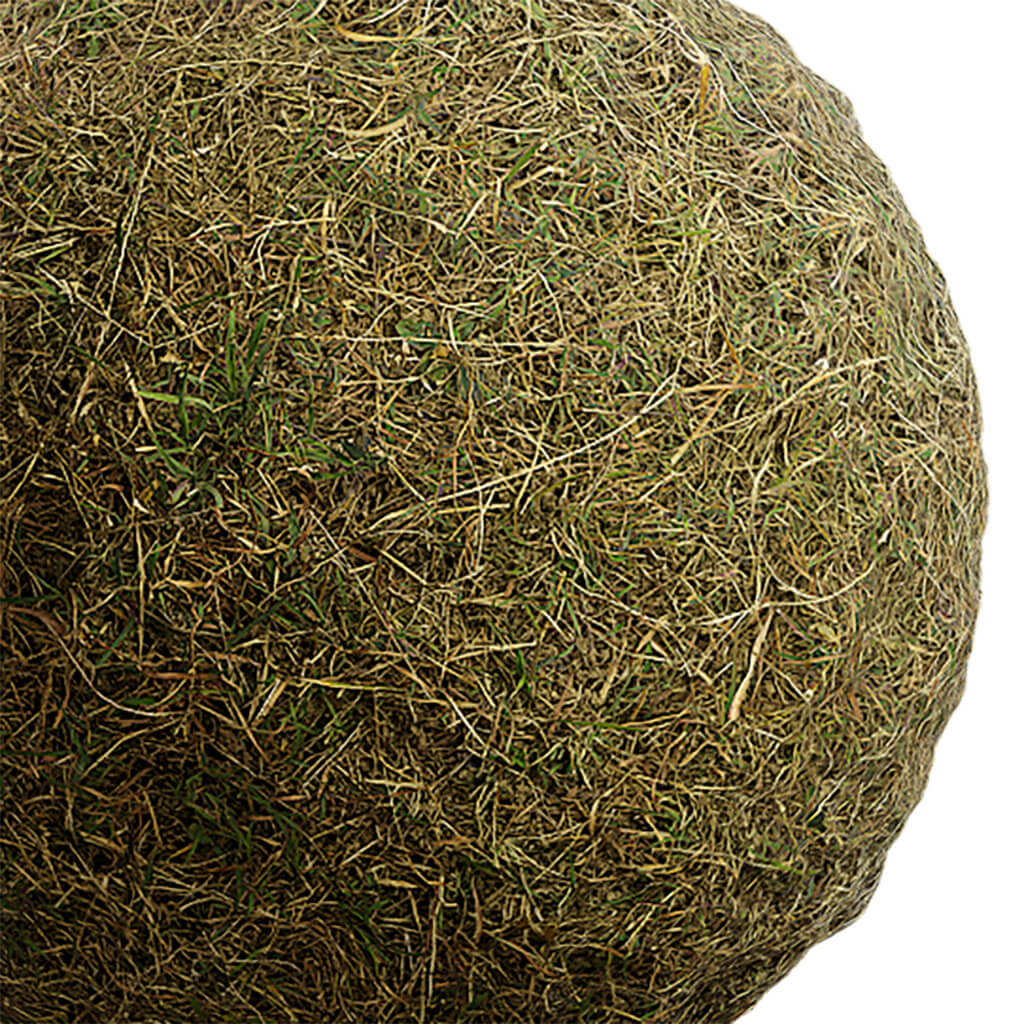 Grass Seamless Texture 2K (2048*2048) - EXR 5 - JPG 5 by model789