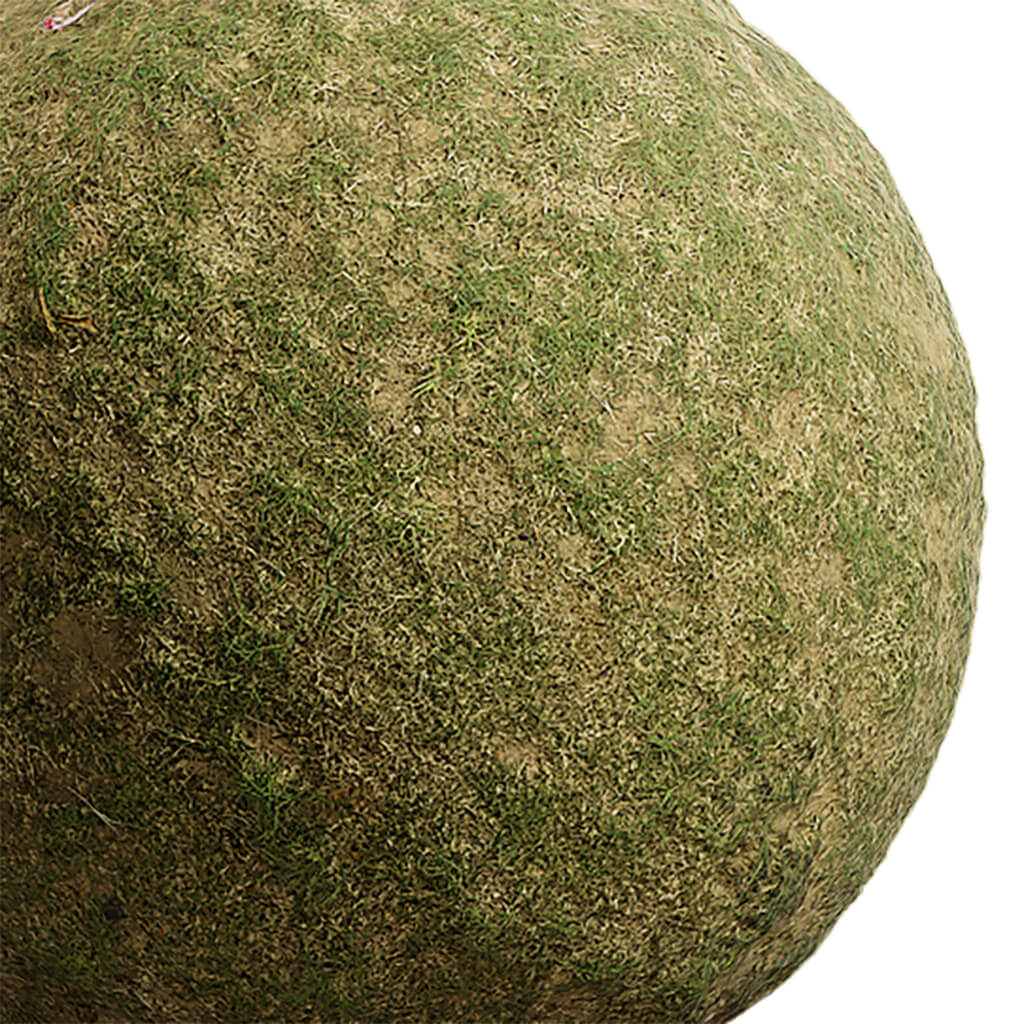 Grass Seamless Texture 2K (2048*2048) - EXR 5 - JPG 5 by model789