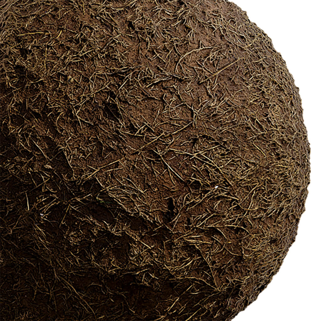 Grass Seamless Texture 2K (2048*2048) - EXR 5 - JPG 5 by model789