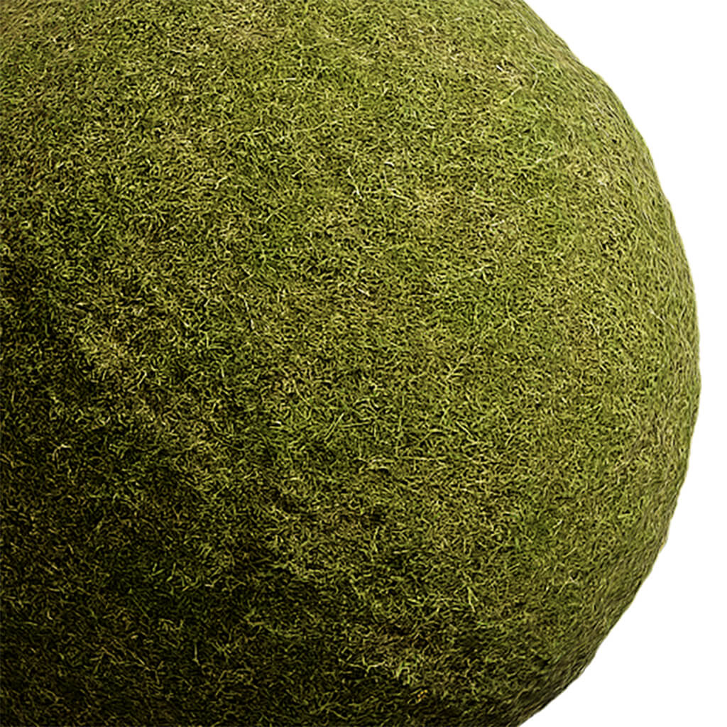 Grass Seamless Texture 2K (2048*2048) - EXR 5 - JPG 5 by model789