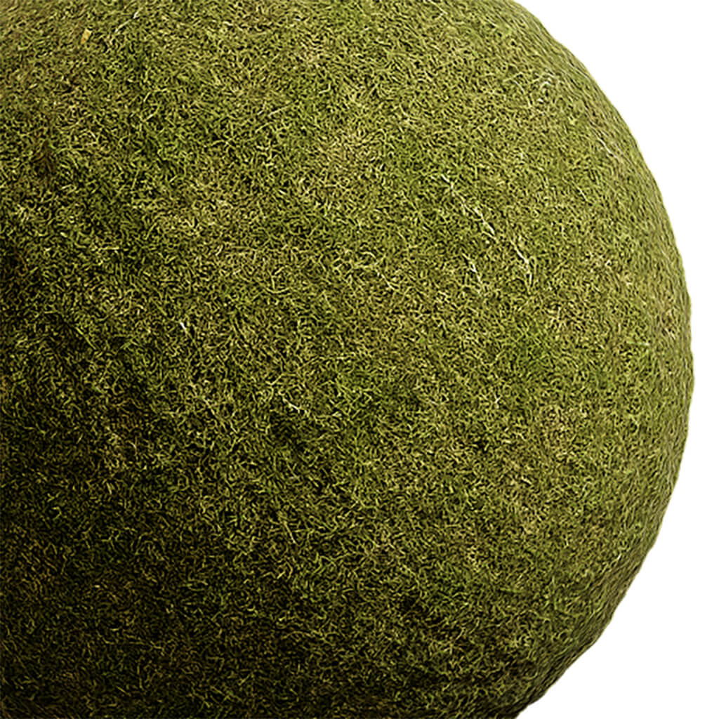 Grass Seamless Texture 2K (2048*2048) - EXR 5 - JPG 5 by model789