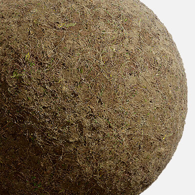 3D Textures | Textures | Grass | RenderHub