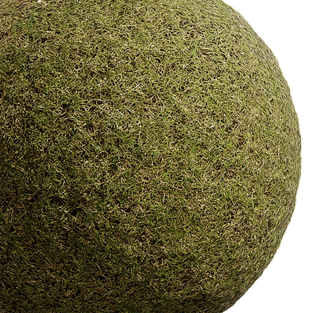 Grass Seamless Texture 2K (2048*2048) - EXR 5 - JPG 5 by model789