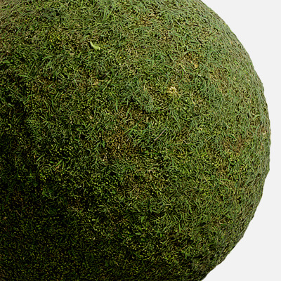 3D Textures | Plants | RenderHub