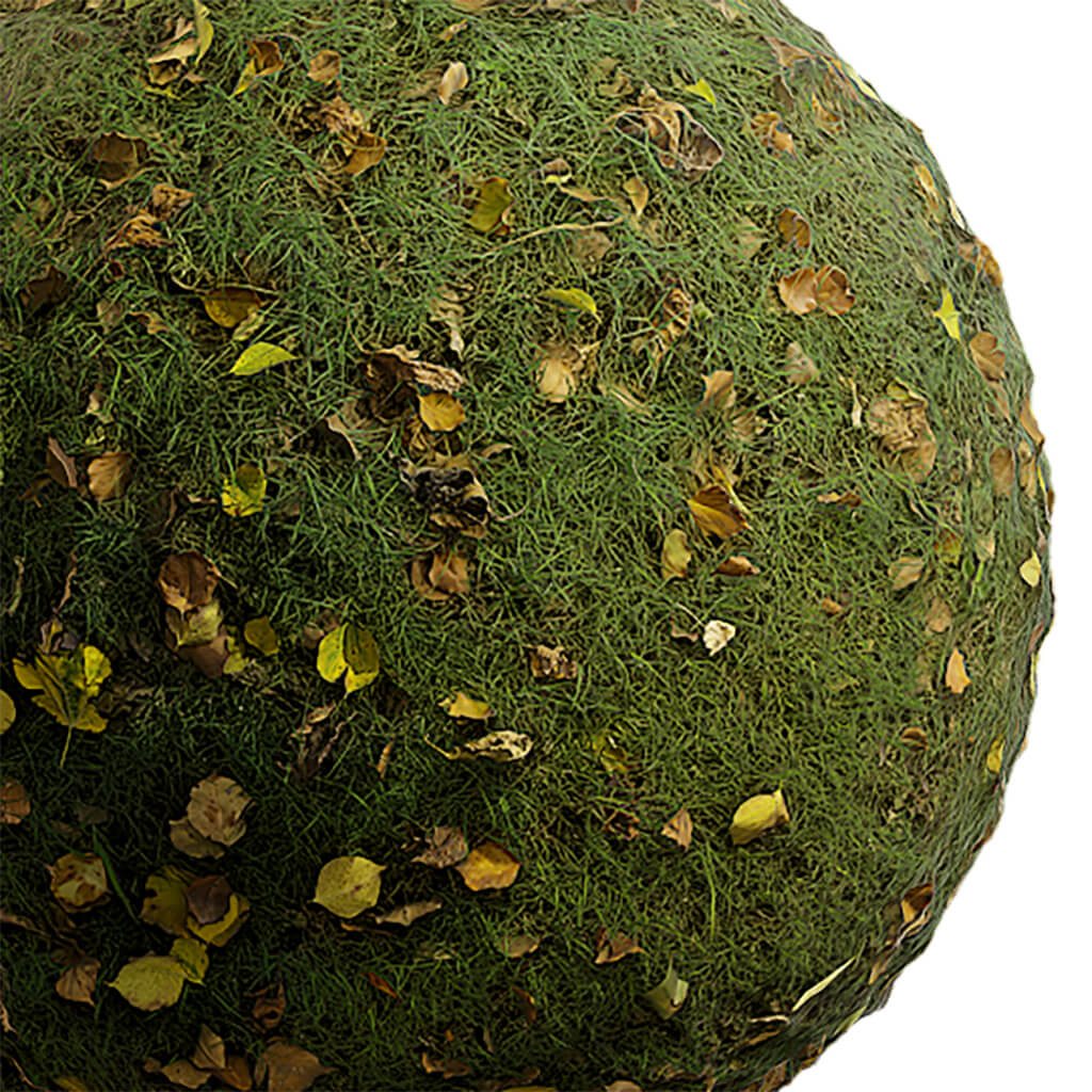 Grass Seamless Texture 2K (2048*2048) - EXR 5 - JPG 5 by model789