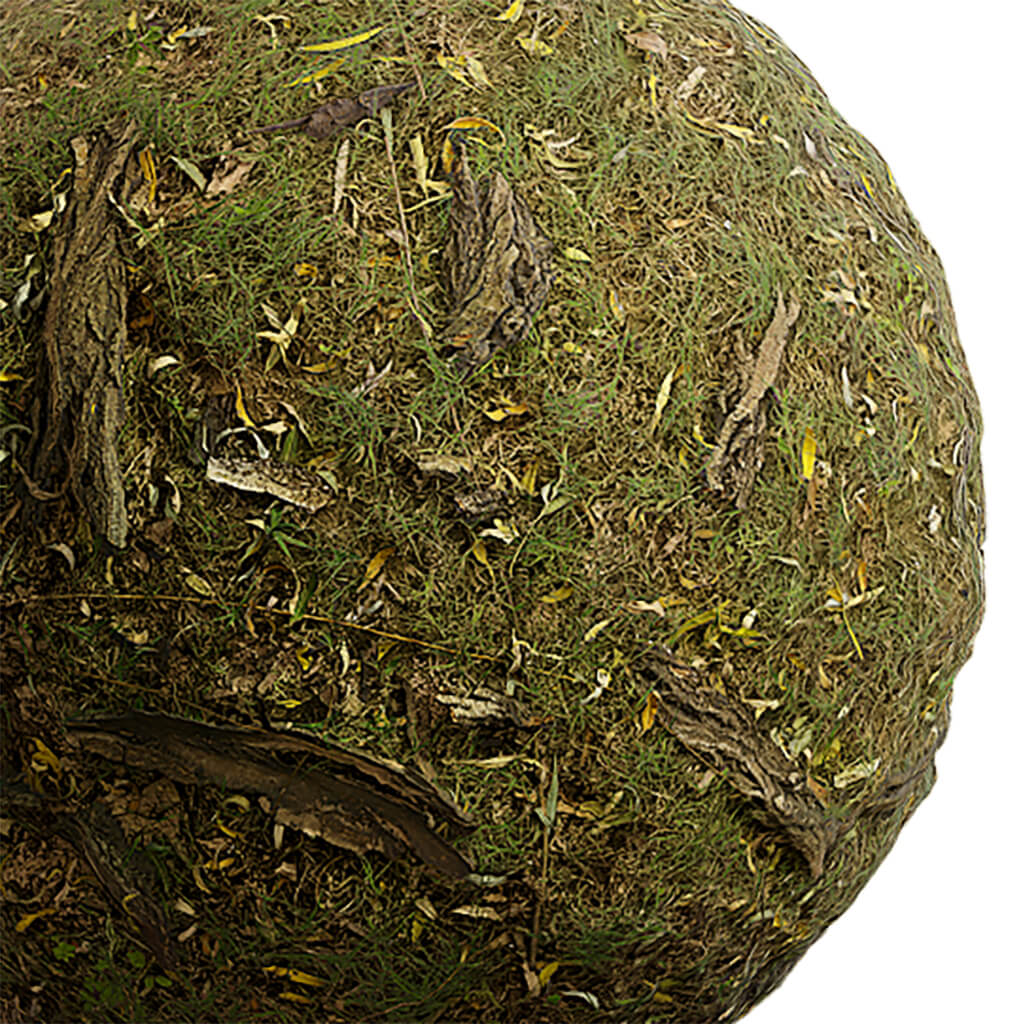 Grass Seamless Texture 2K (2048*2048) - EXR 5 - JPG 5 by model789