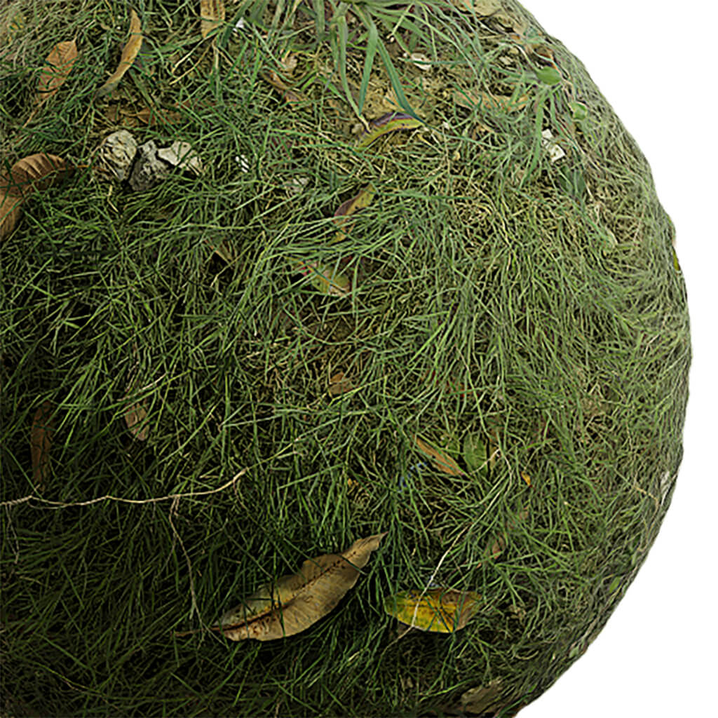 Grass Seamless Texture 2K (2048*2048) - EXR 5 - JPG 5 by model789