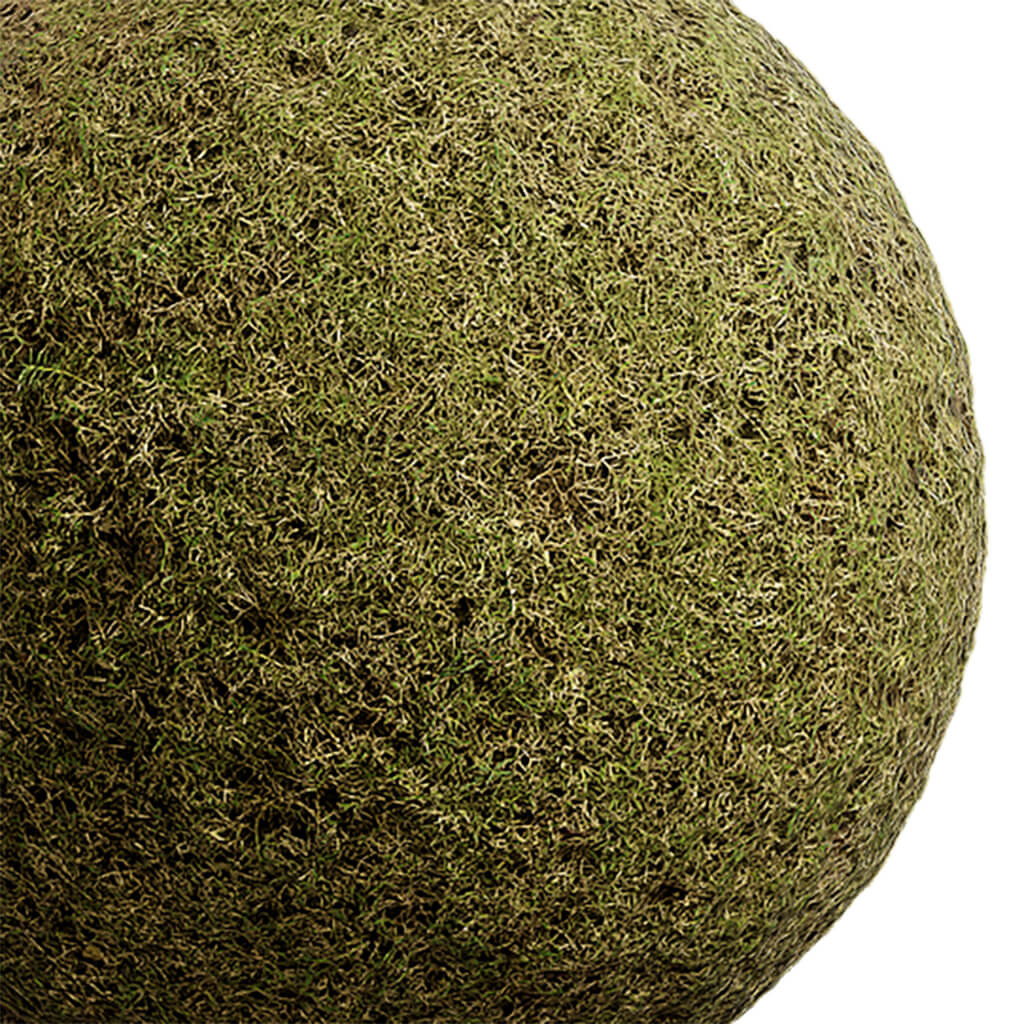 Grass Seamless Texture 2K (2048*2048) - EXR 5 - JPG 5 by model789