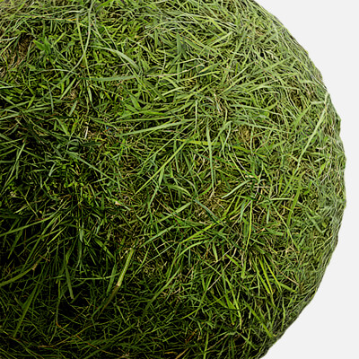 Grass Seamless Texture 2K (2048*2048) - EXR 5 - JPG 5 by model789