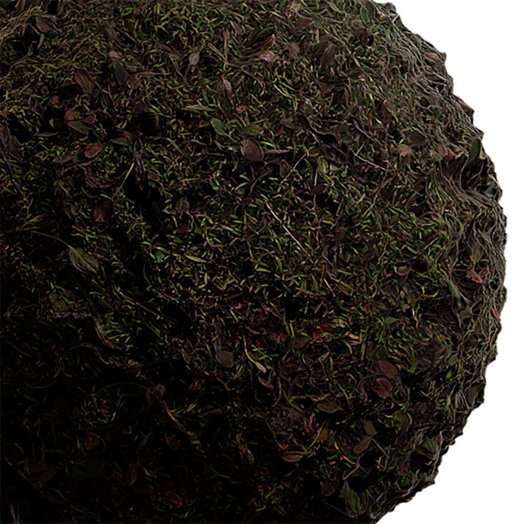 Grass Seamless Texture 2K (2048*2048) - EXR 5 - JPG 5 by model789