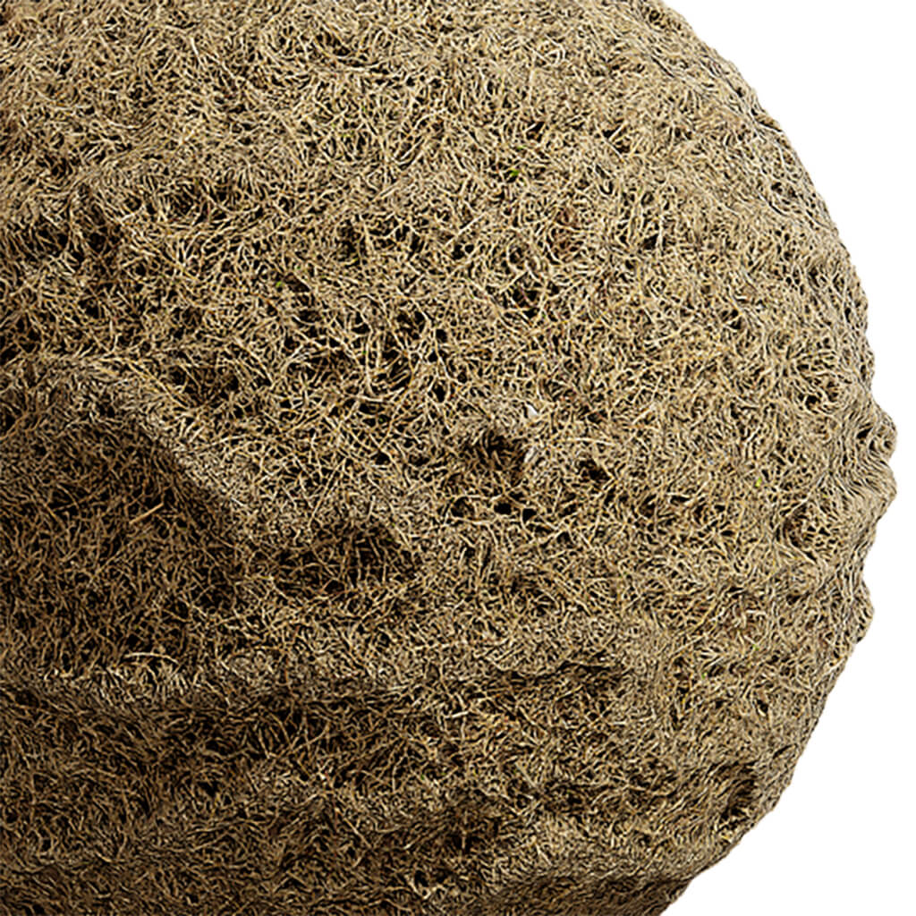 Grass Seamless Texture 2K (2048*2048) - EXR 5 - JPG 5 by model789