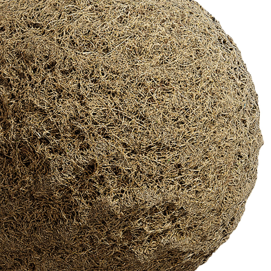 Grass Seamless Texture 2K (2048*2048) - EXR 5 - JPG 5 by model789