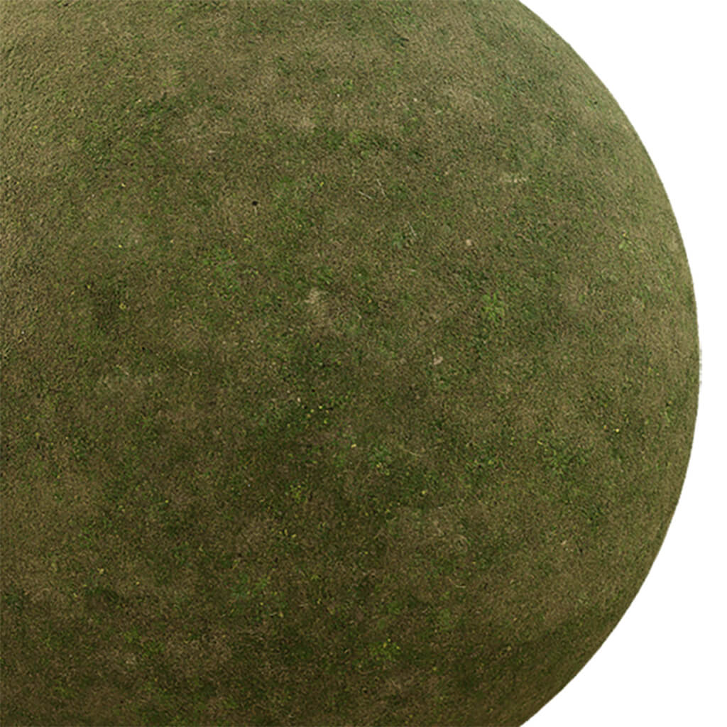 Grass Seamless Texture 2K (2048*2048) - EXR 5 - JPG 5 by model789