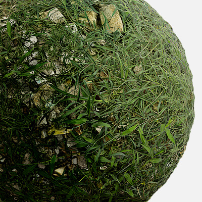 Pbr Textures | Plants | Grass | RenderHub