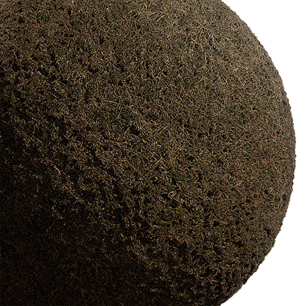 Grass Seamless Texture 2K (2048*2048) - EXR 5 - JPG 5 by model789