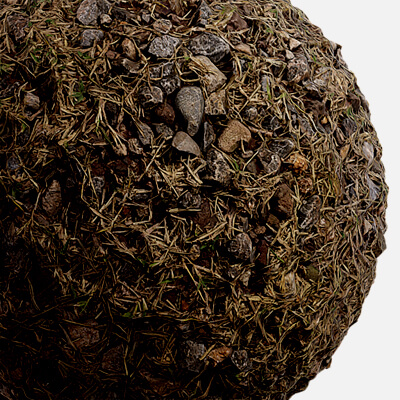 Pbr Textures | Plants | Grass | RenderHub