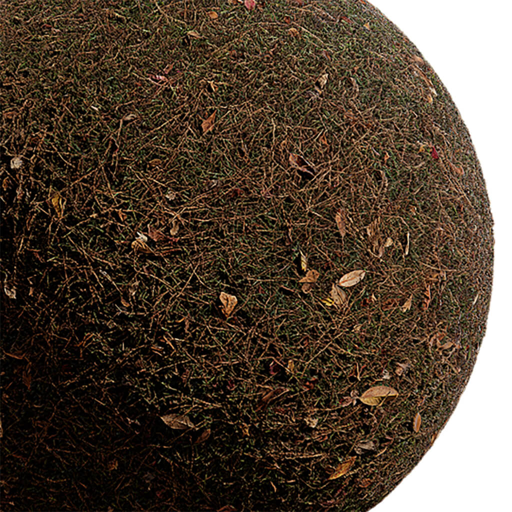 Grass Seamless Texture 2K (2048*2048) - EXR 5 - JPG 5 by model789