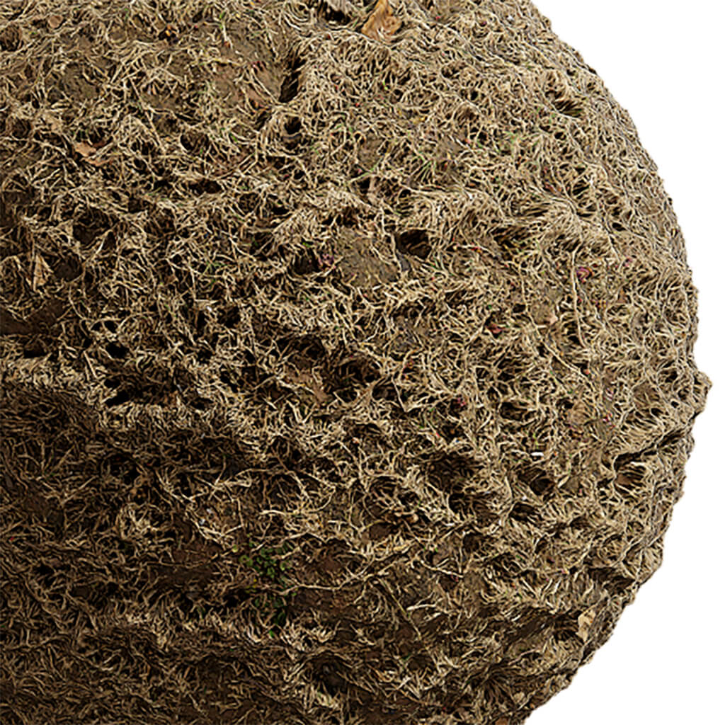 Grass Seamless Texture 2K (2048*2048) - EXR 5 - JPG 5 by model789