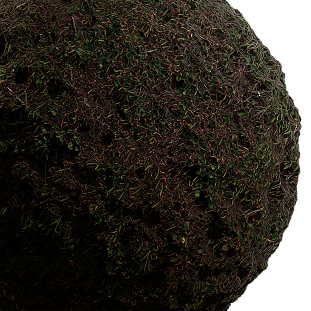 Grass Seamless Texture 2K (2048*2048) - EXR 5 - JPG 5 by model789