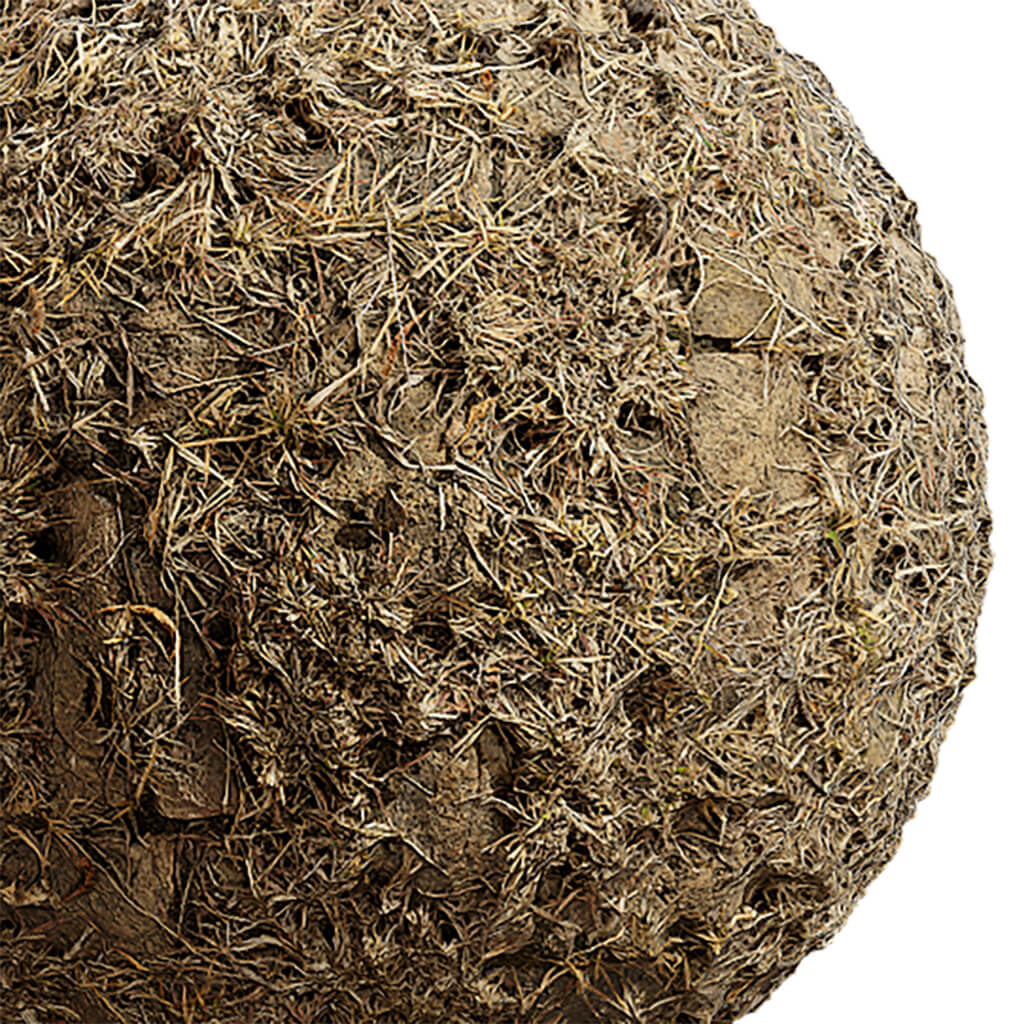 Grass Seamless Texture 2K (2048*2048) - EXR 5 - JPG 5 by model789