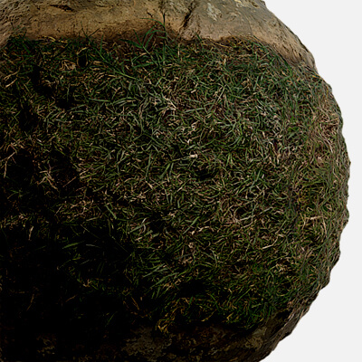 3D Textures | Plants | RenderHub
