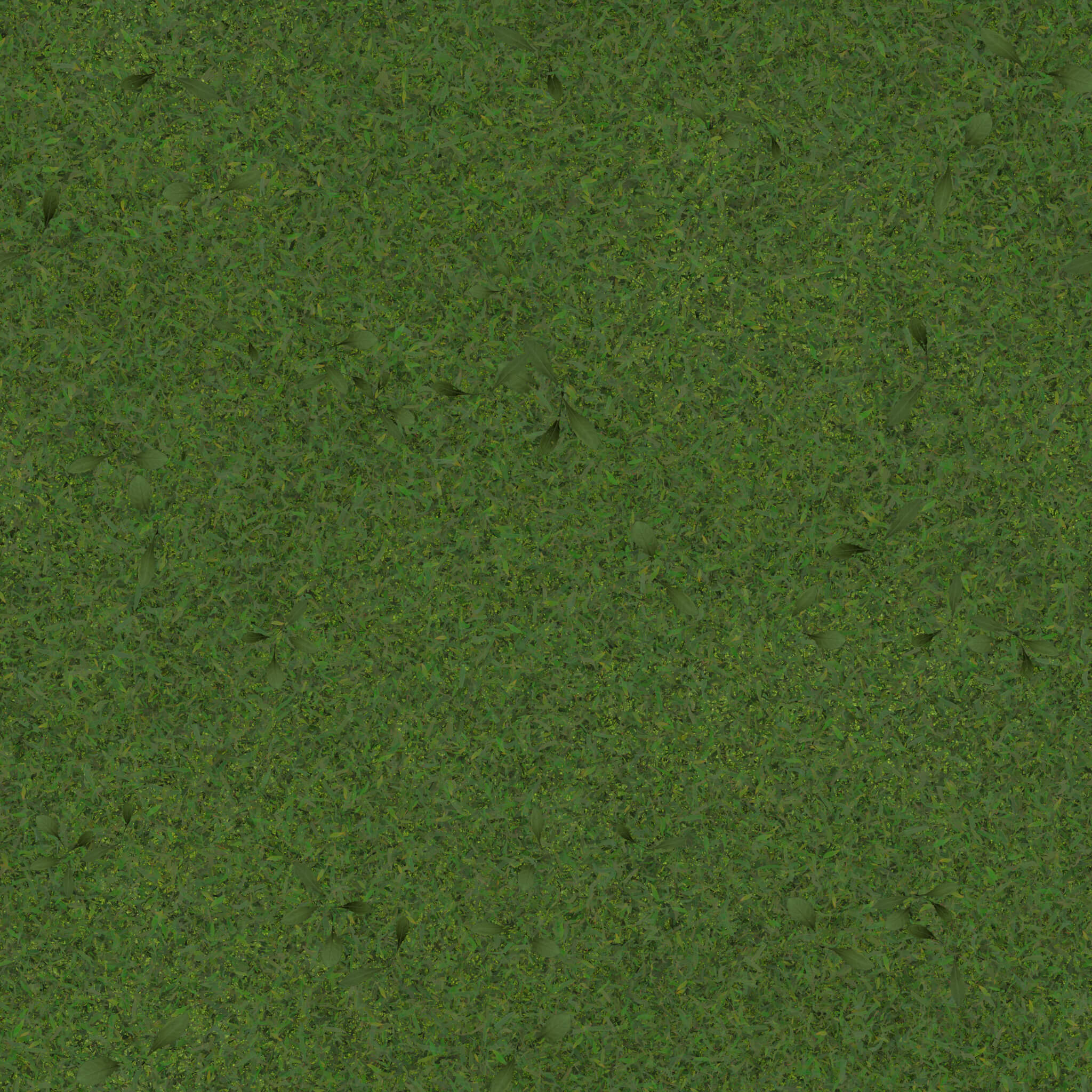 Grass Seamless Texture Patterns 2K (2048*2048) by model789
