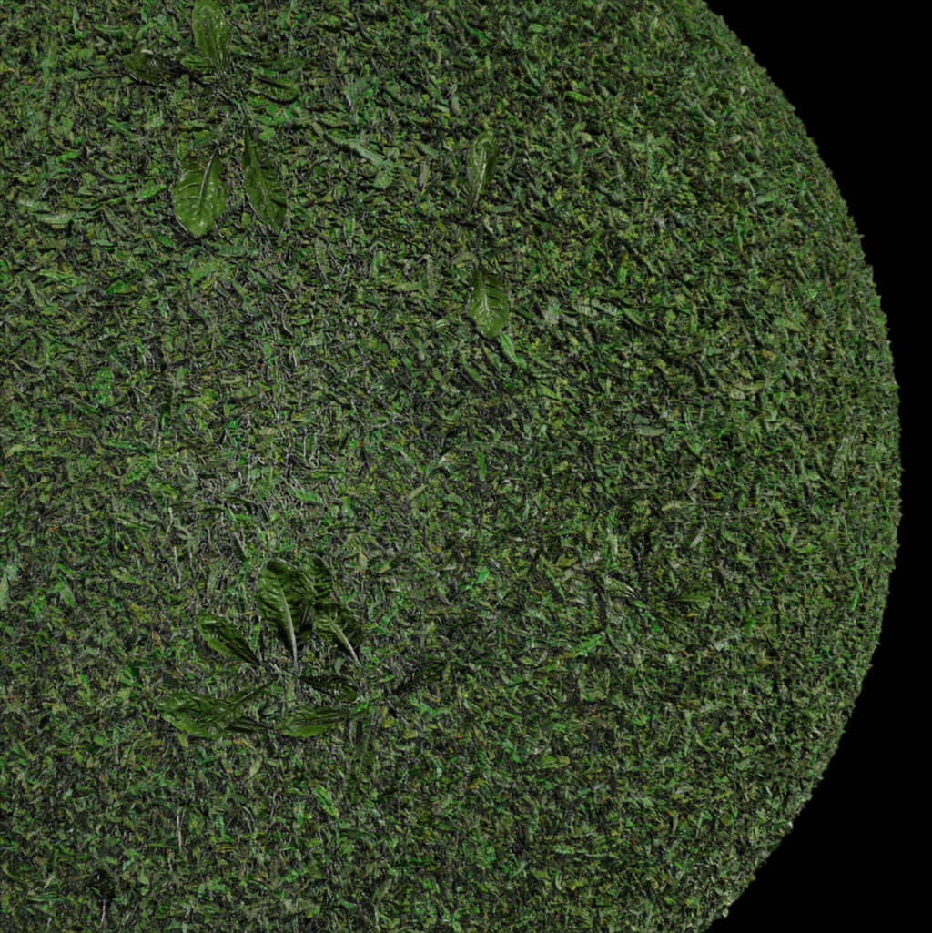 Grass Seamless Texture Patterns 2K (2048*2048) by model789