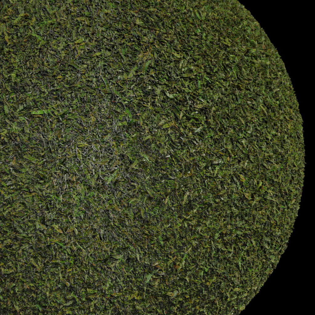 Grass Seamless Texture Patterns 2K (2048*2048) by model789