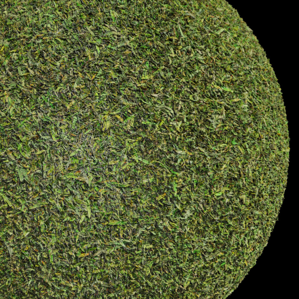 Grass Seamless Texture Patterns 2K (2048*2048) by model789