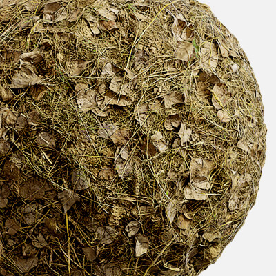 Ground Seamless Texture 2K (2048*2048) - EXR 5 - JPG 5 by model789