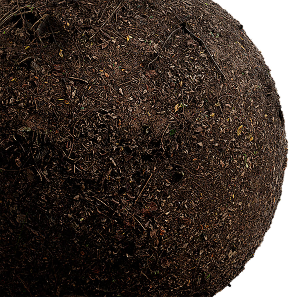 Ground Seamless Texture 2K (2048*2048) - EXR 5 - JPG 5 by model789