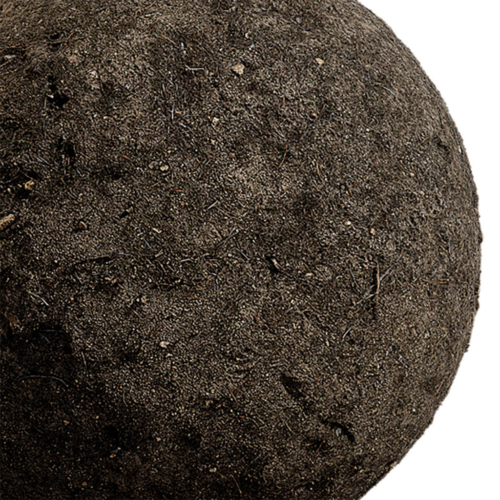 Ground Seamless Texture 2K (2048*2048) - EXR 5 - JPG 5 by model789