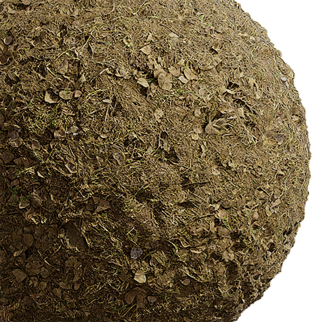 Ground Seamless Texture 2K (2048*2048) - EXR 5 - JPG 5 by model789