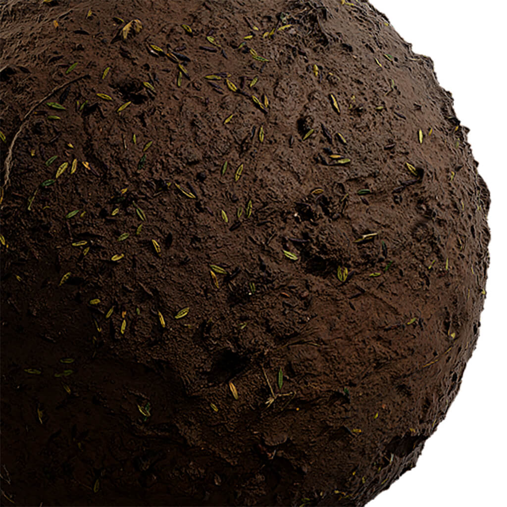 Ground Seamless Texture 2K (2048*2048) - EXR 5 - JPG 5 by model789