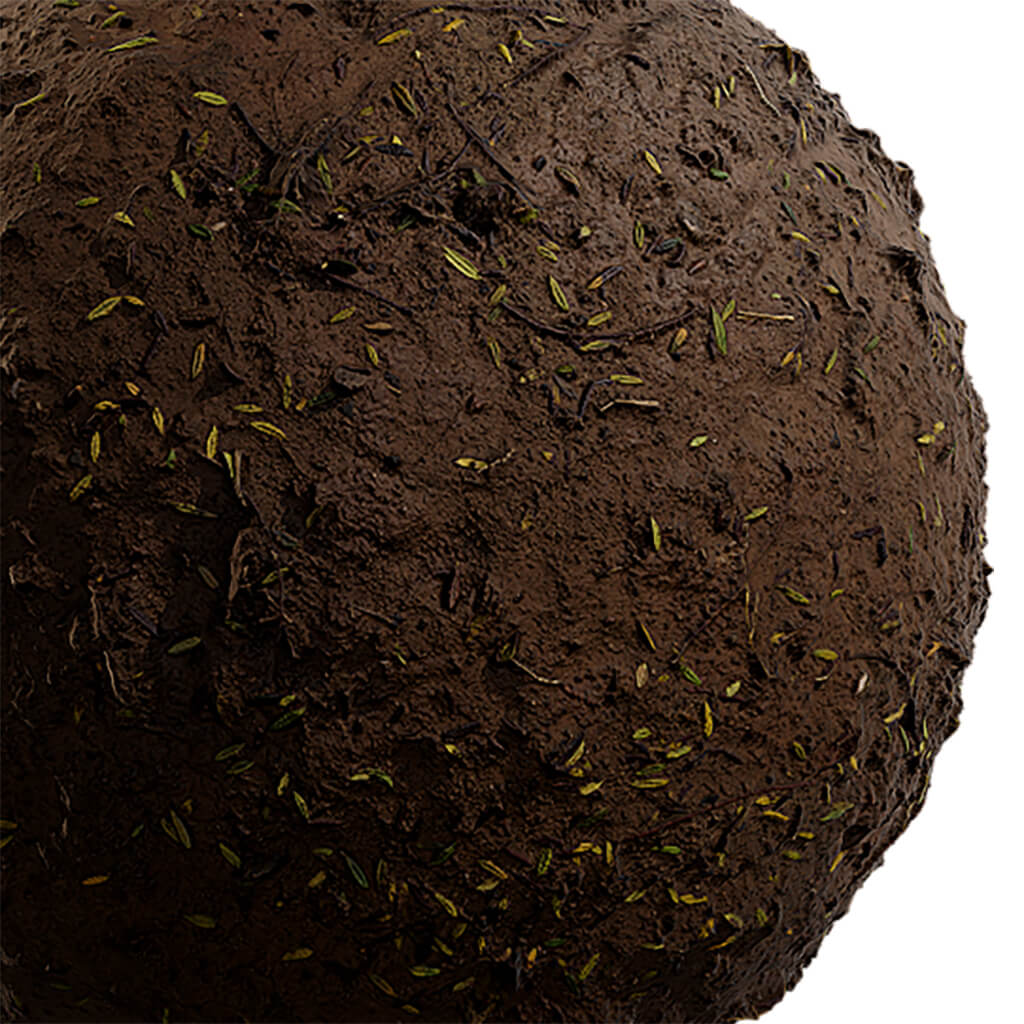 Ground Seamless Texture 2K (2048*2048) - EXR 5 - JPG 5 by model789