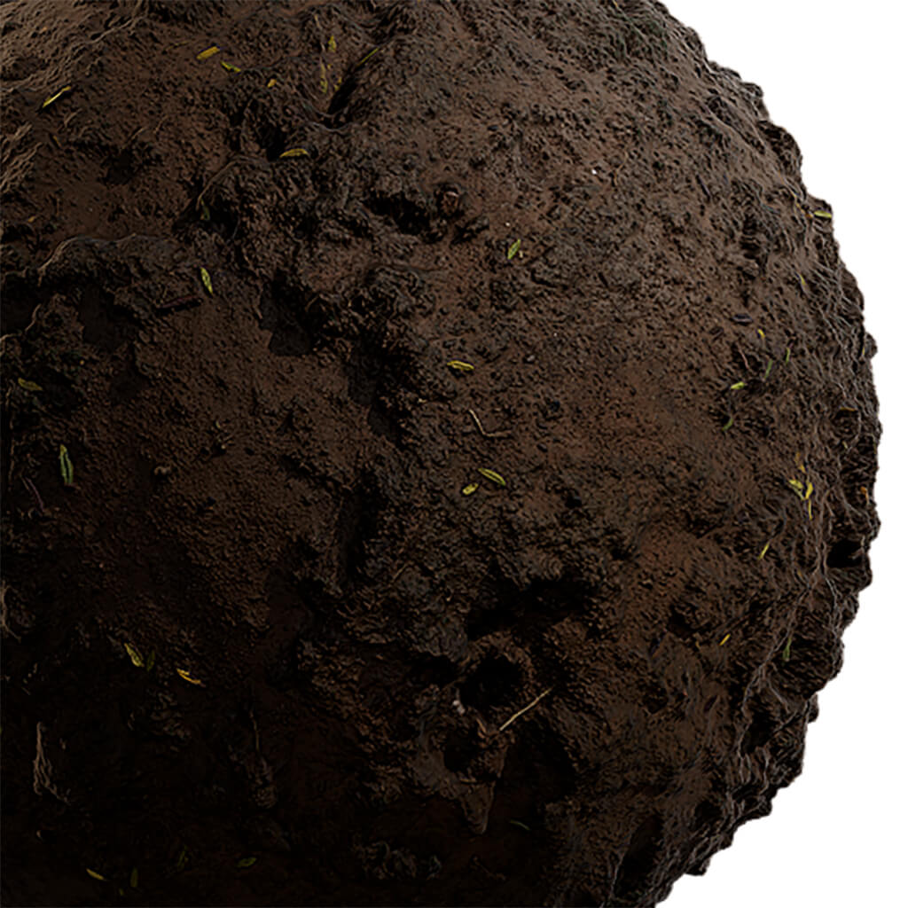 Ground Seamless Texture 2K (2048*2048) - EXR 5 - JPG 5 by model789