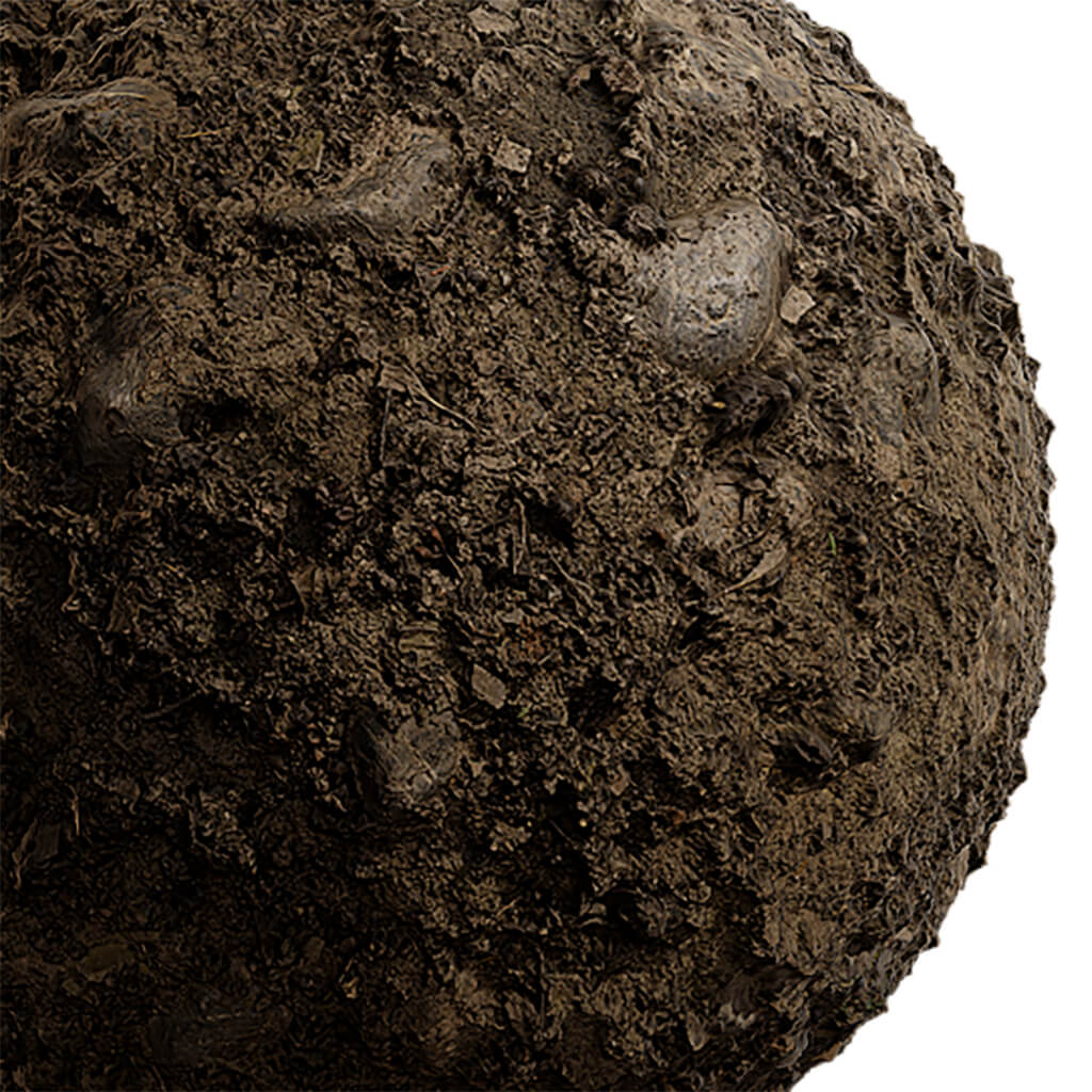 Ground Seamless Texture 2K (2048*2048) - EXR 5 - JPG 5 by model789