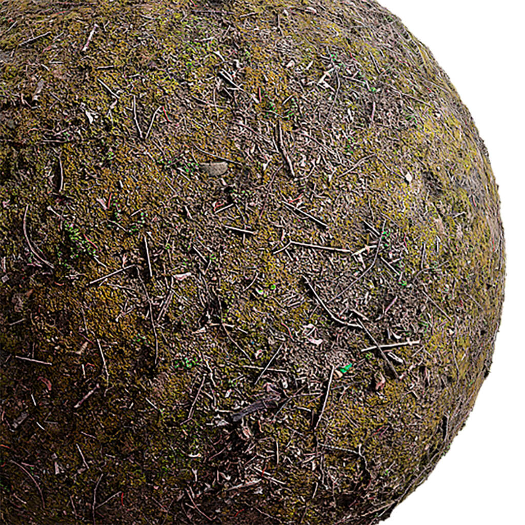 Ground Seamless Texture 2K (2048*2048) - EXR 5 - JPG 5 by model789
