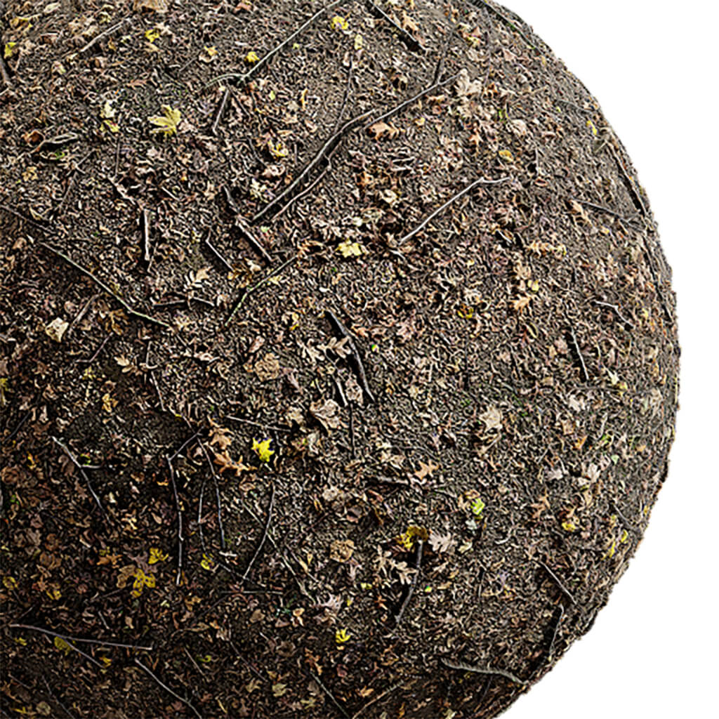 Ground Seamless Texture 2K (2048*2048) - EXR 5 - JPG 5 by model789