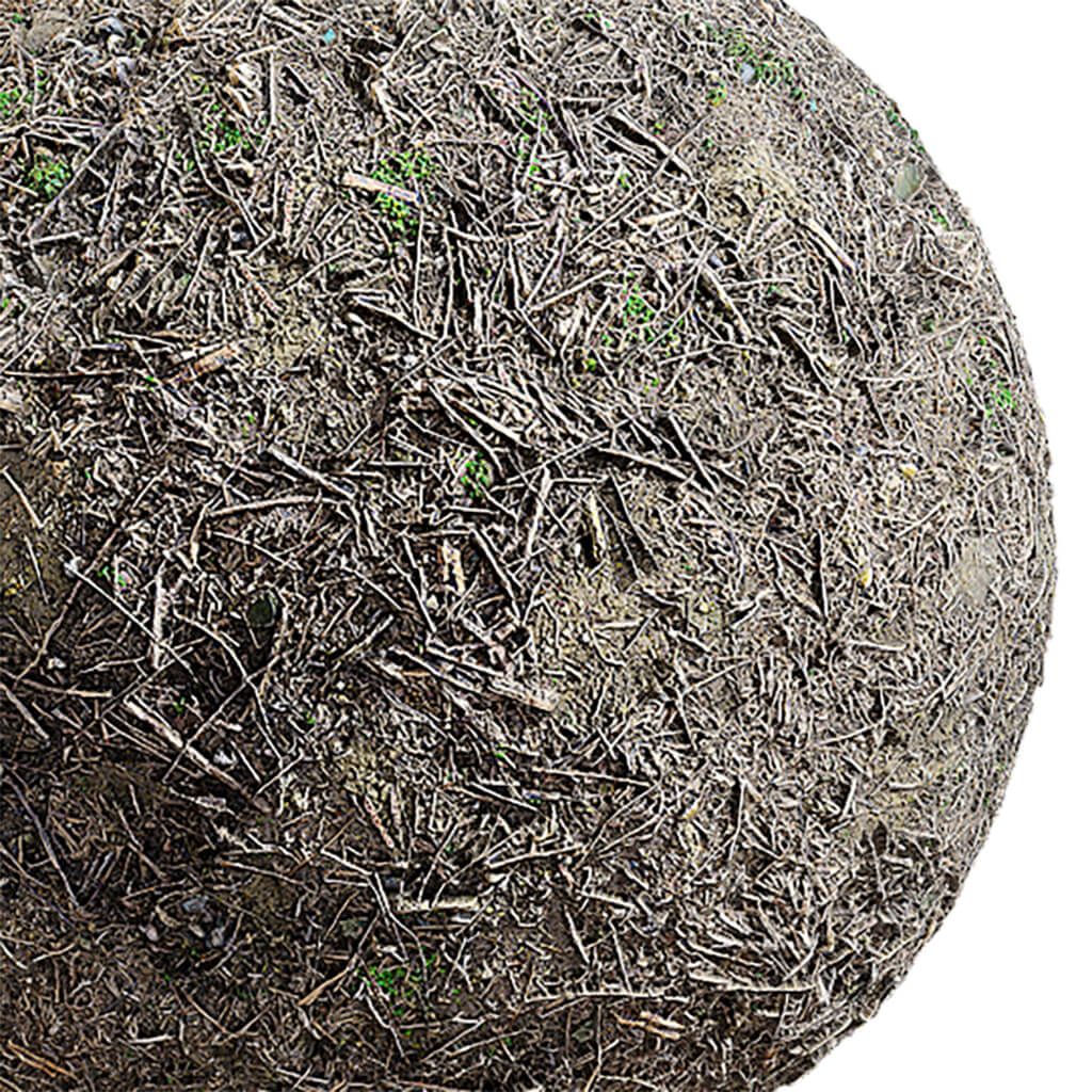 Ground Seamless Texture 2K (2048*2048) - EXR 5 - JPG 5 by model789