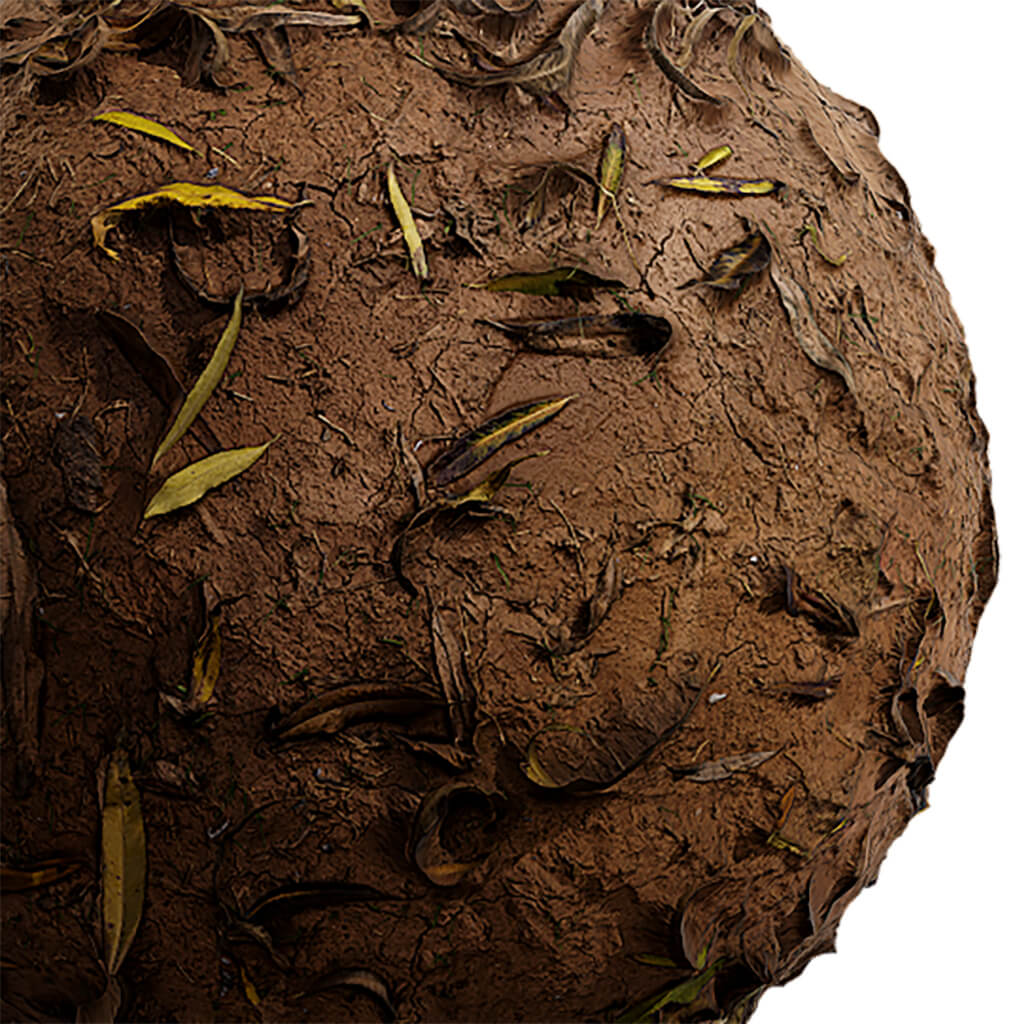 Ground Seamless Texture 2K (2048*2048) - EXR 5 - JPG 5 by model789