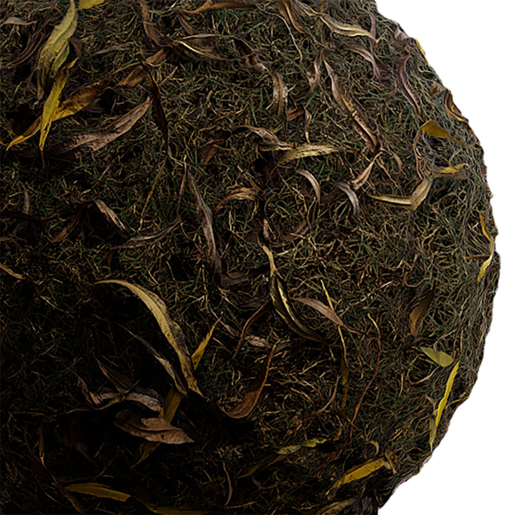 Ground Seamless Texture 2K (2048*2048) - EXR 5 - JPG 5 by model789