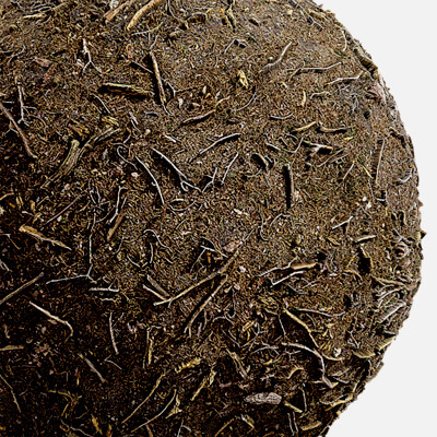 Ground Seamless Texture 2K (2048*2048) - EXR 5 - JPG 5 by model789