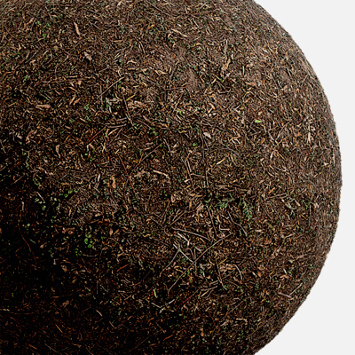 Stylized Wood Seamless Texture by zames1992d