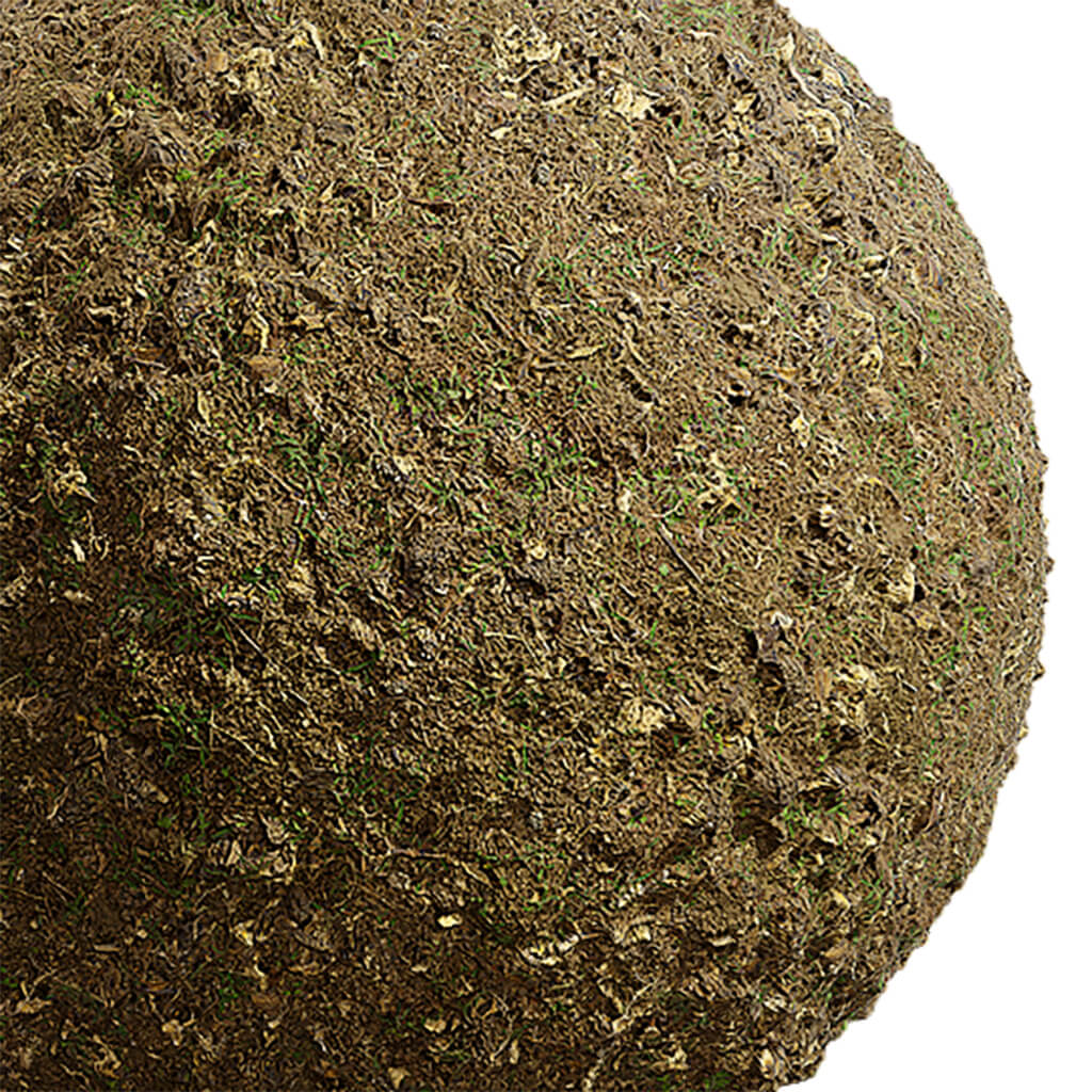 Ground Seamless Texture 2K (2048*2048) - EXR 5 - JPG 5 by model789